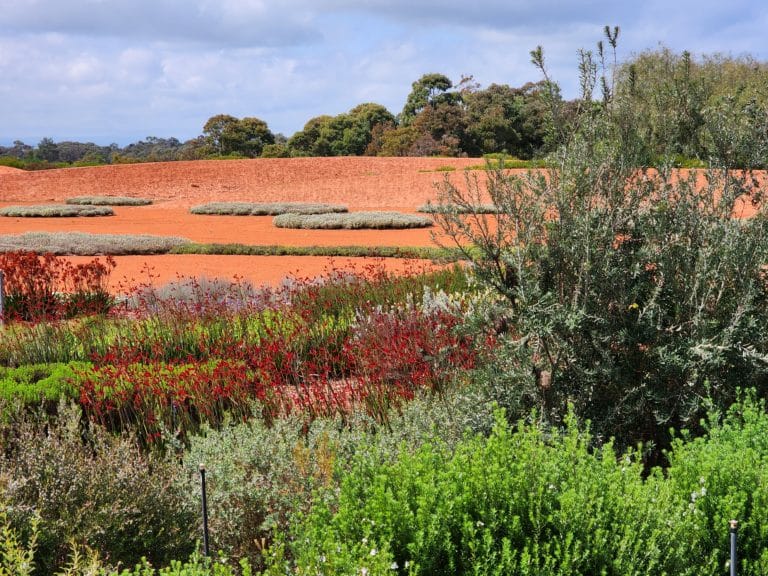 Seeking inspiration for an Australian native garden for your mid ...